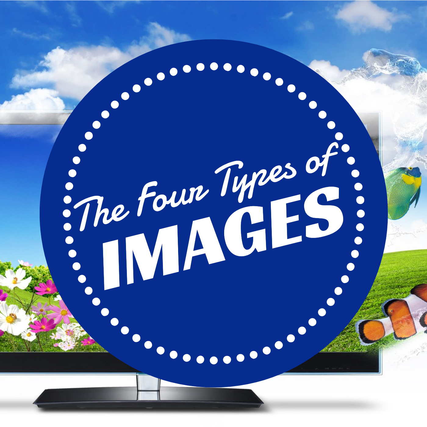 The Four Types of Images | Web Strategies